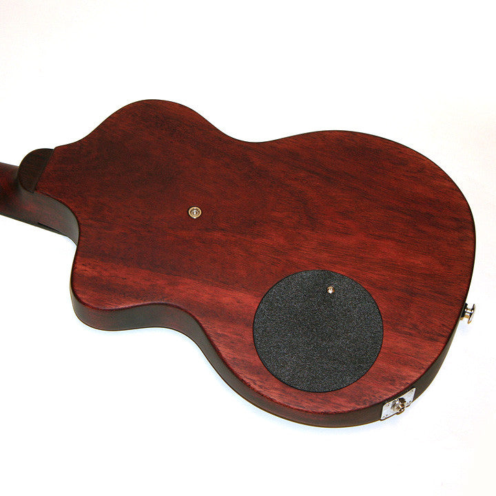 Rick Turner Model One Special | Make'n Music